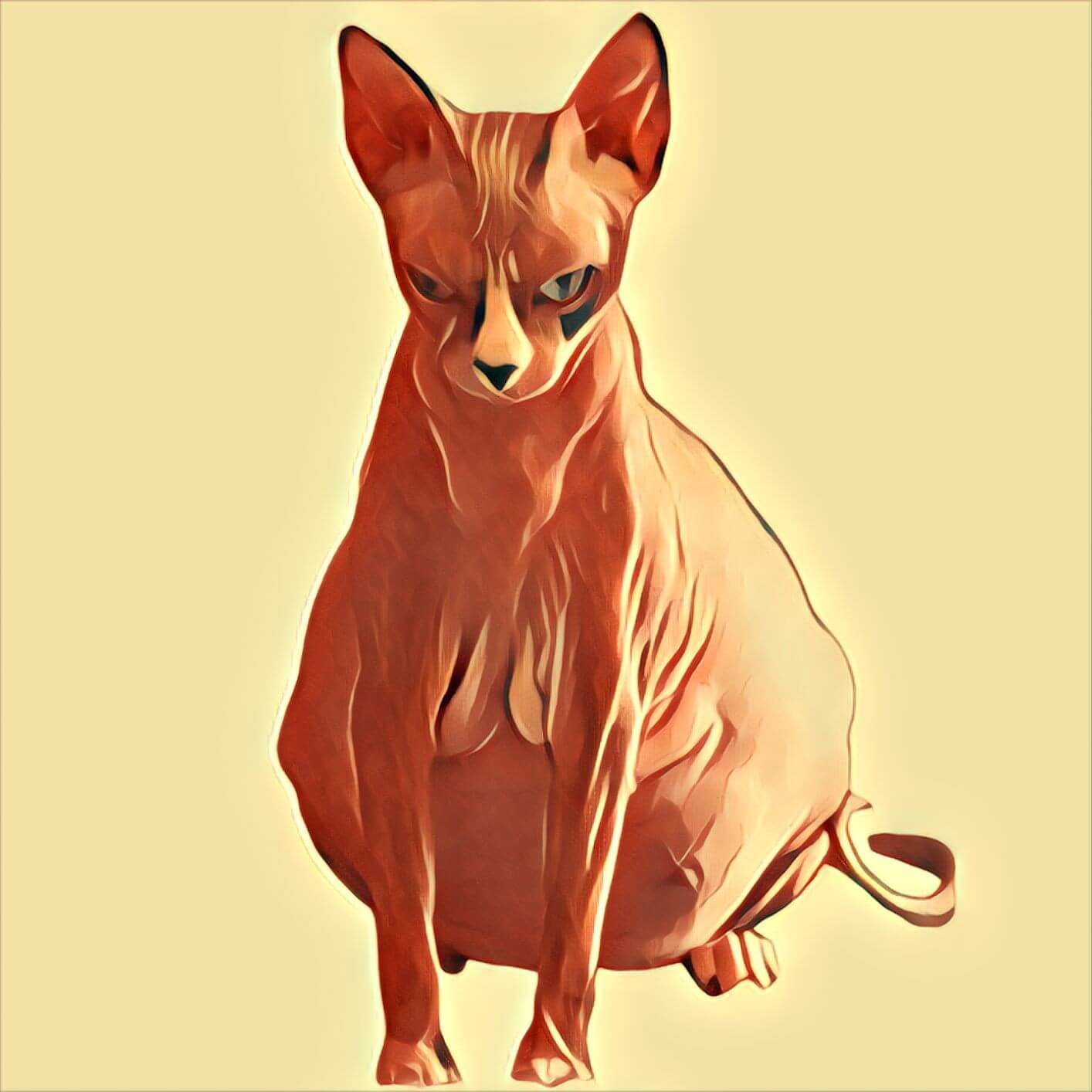 ♥ Katze | Traumsymbol mit Video - Traum-Deutung