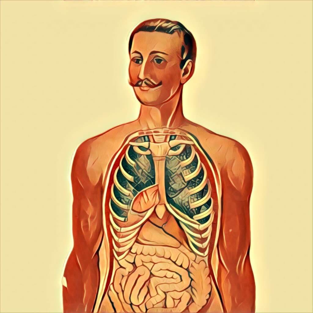 Menschen - Traum-Deutung