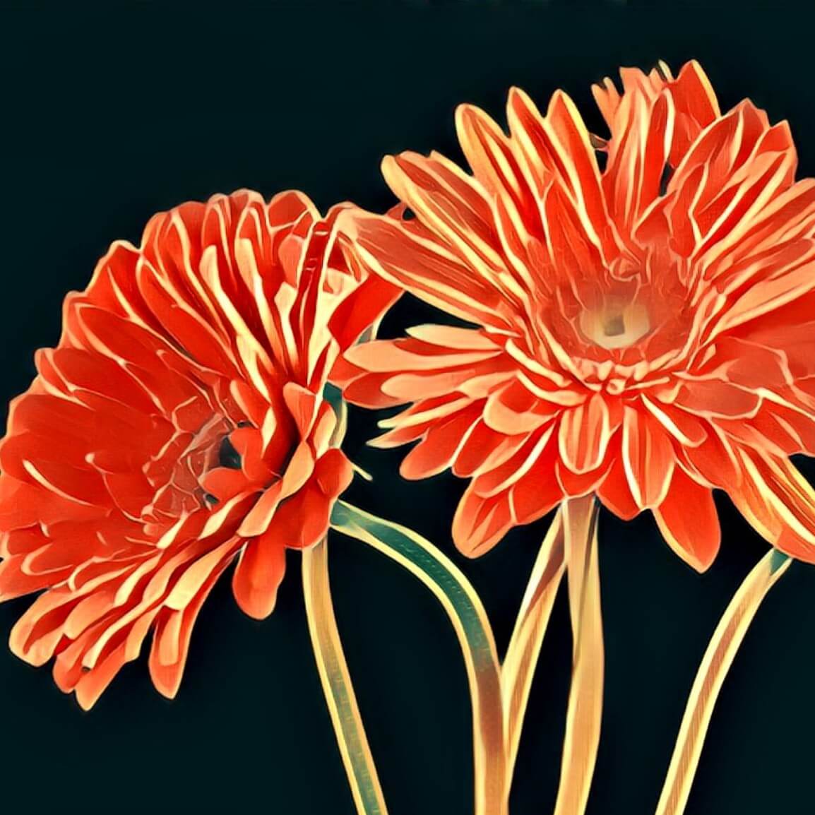 Blumen - Traum-Deutung