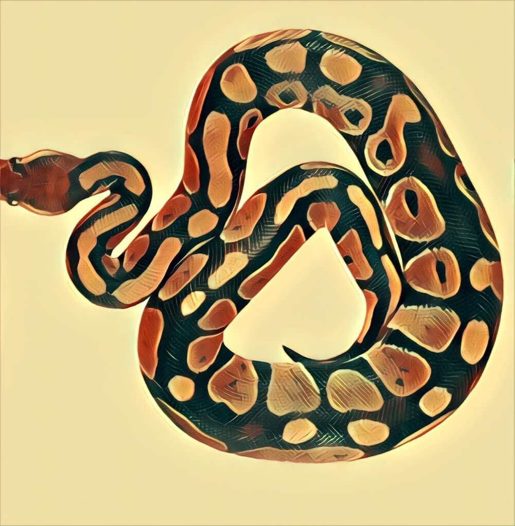 ∞ Traumdeutung Schlange | Tipps um Träume von Schlangen zu deuten