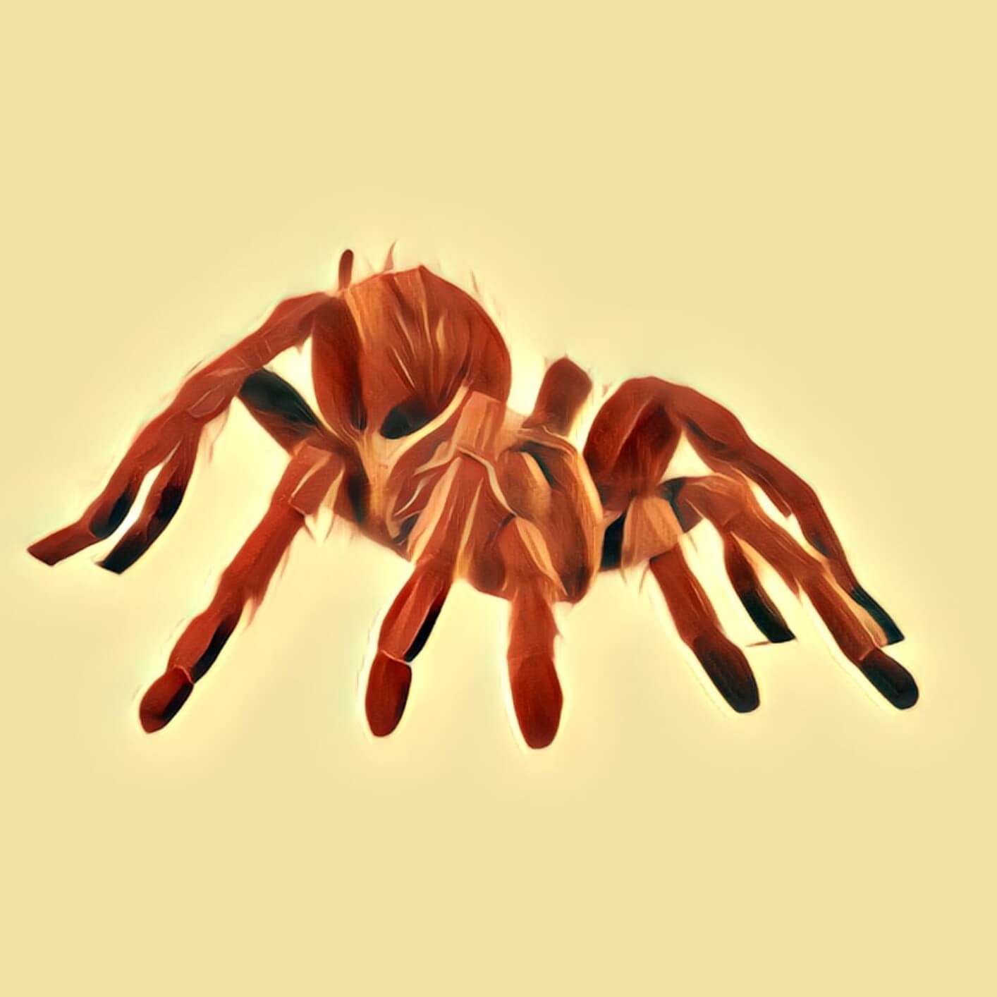 töten - Traum-Deutung