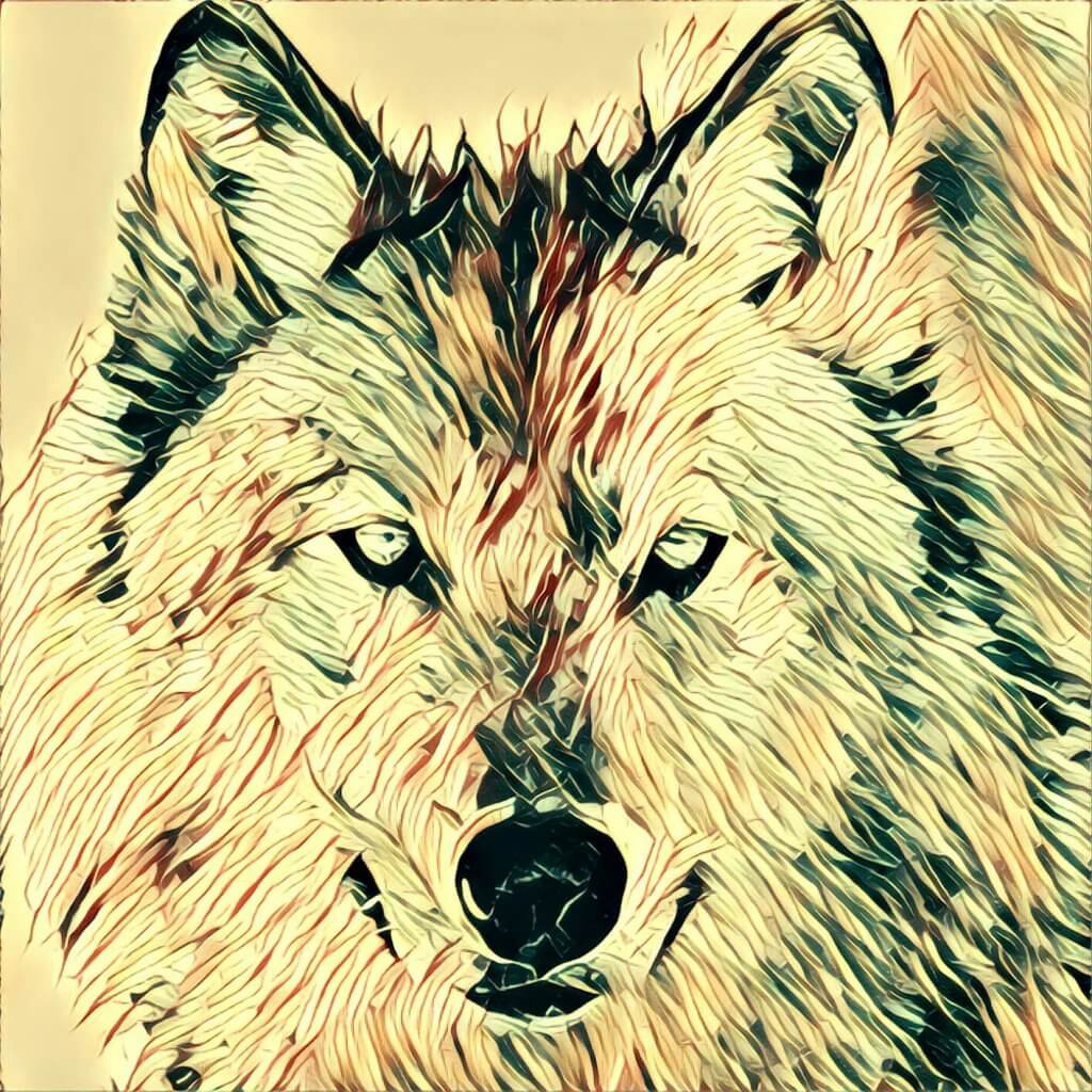 Wolf | Traumsymbol mit Video - Traum-Deutung