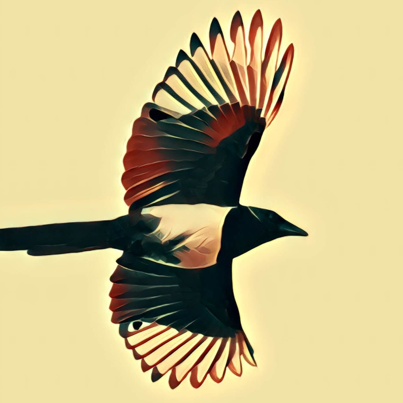 Elster - Traum-Deutung