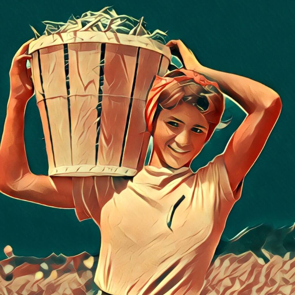 Ernte - Traum-Deutung