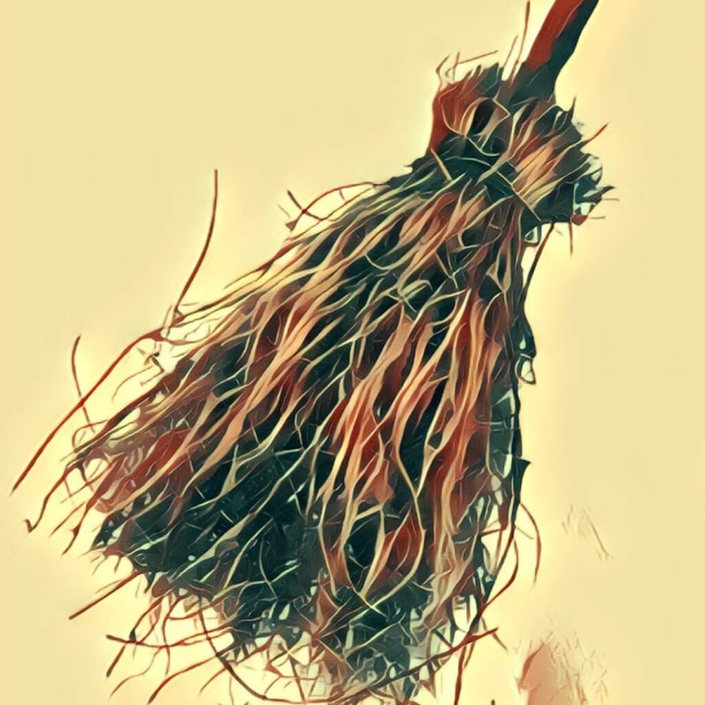 Besen 🧹 | Was bedeutet der Traum vom Besen? - Traum-Deutung