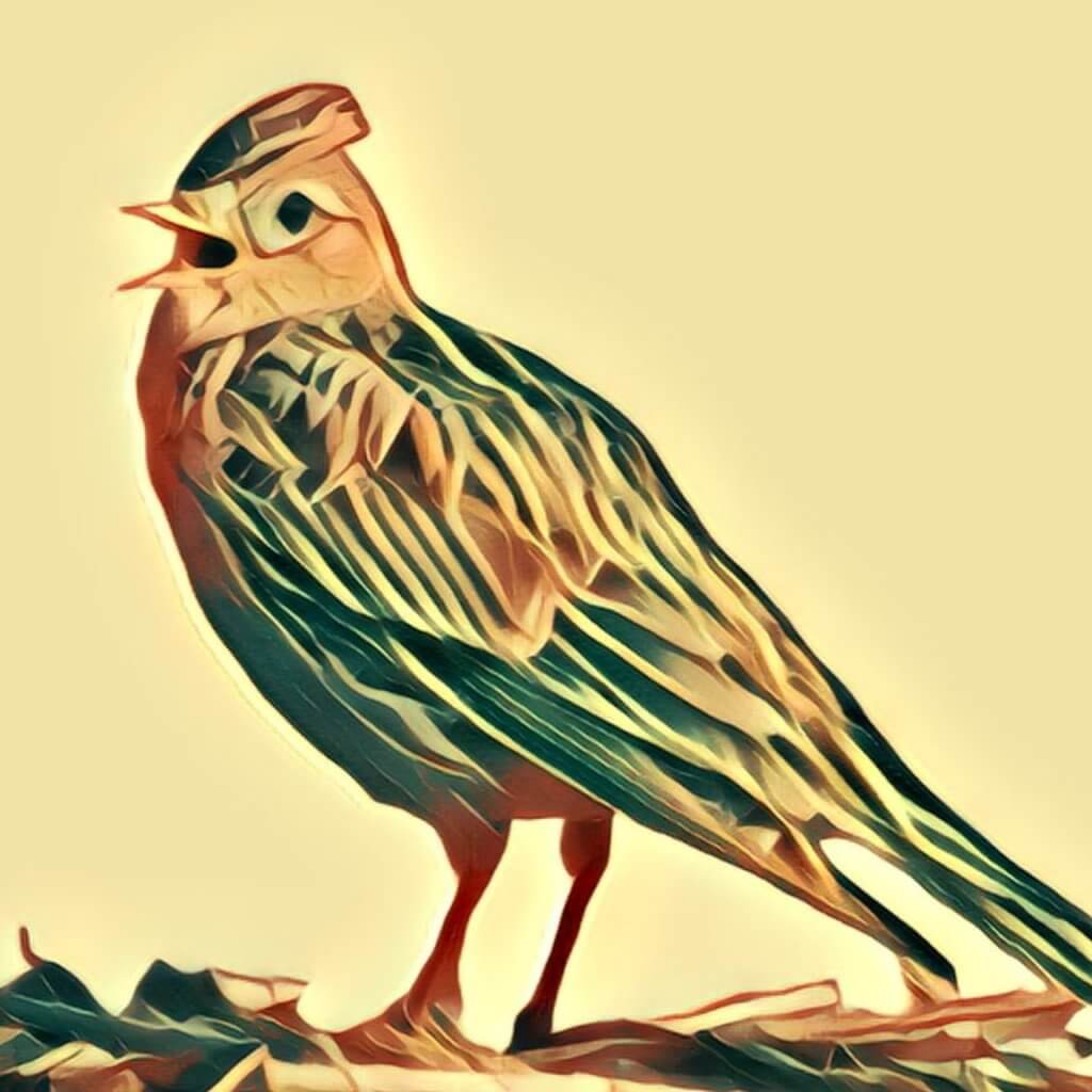 Lerche - Traum-Deutung