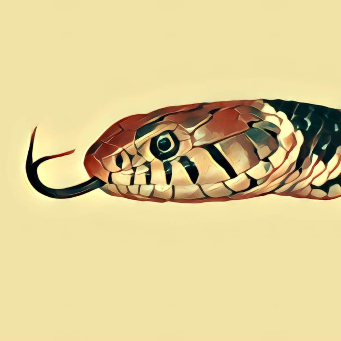 Natter - Traum-Deutung