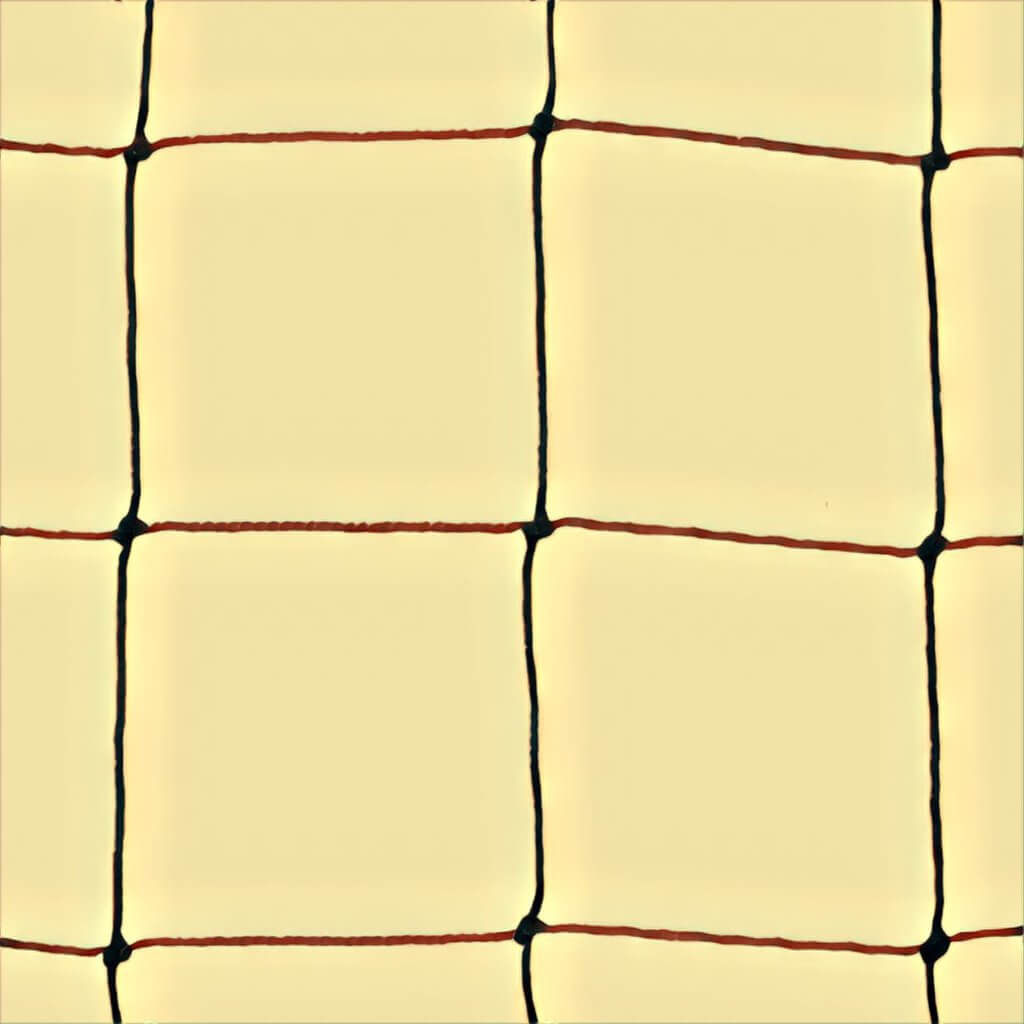 Netz - Traum-Deutung