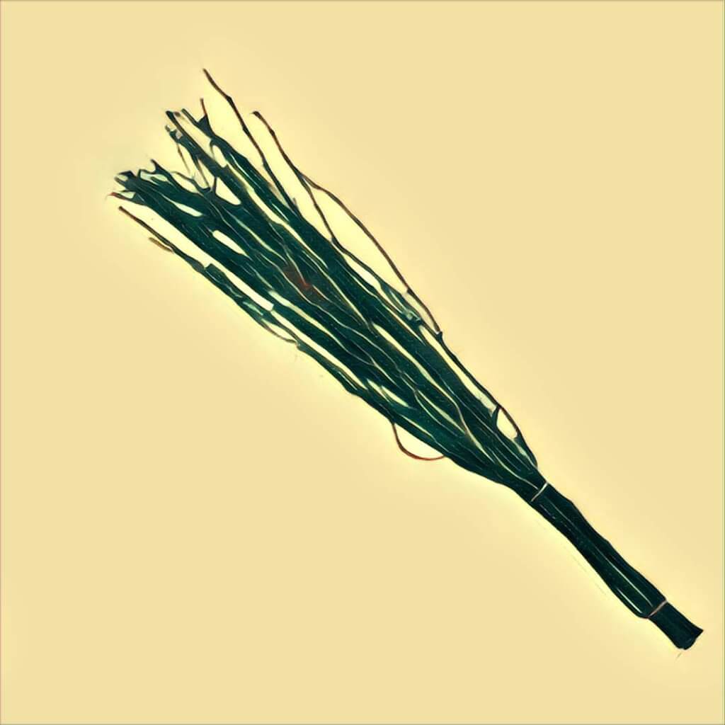 Rute - Traum-Deutung