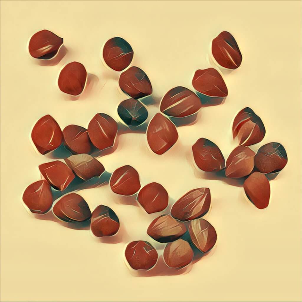 Kapern - Traum-Deutung