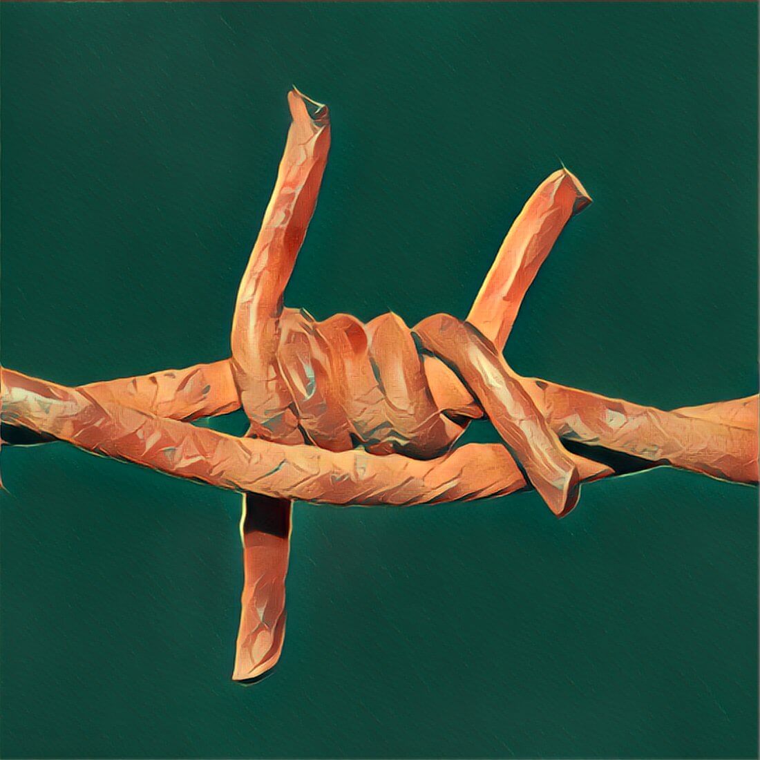 Stacheldraht - Traum-Deutung